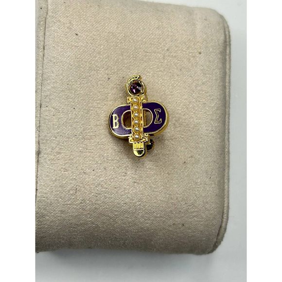 Accessories | Vintage Rare Phi Beta Epsilon Fraternity Purple Pin Back ...
